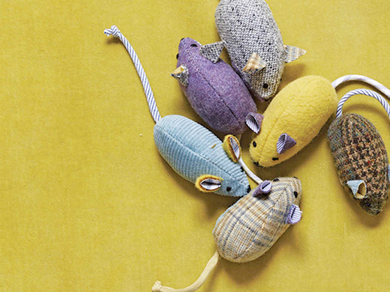 The 10 Best Homemade Cat Toys Your Cat Will Love