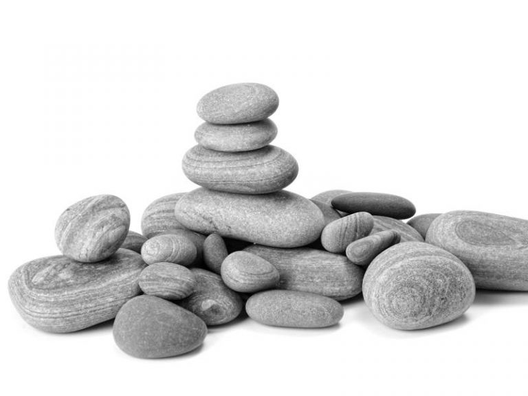 How to Keep Cats Away from Plants | 7 Ways to Protect Your Potted Plants