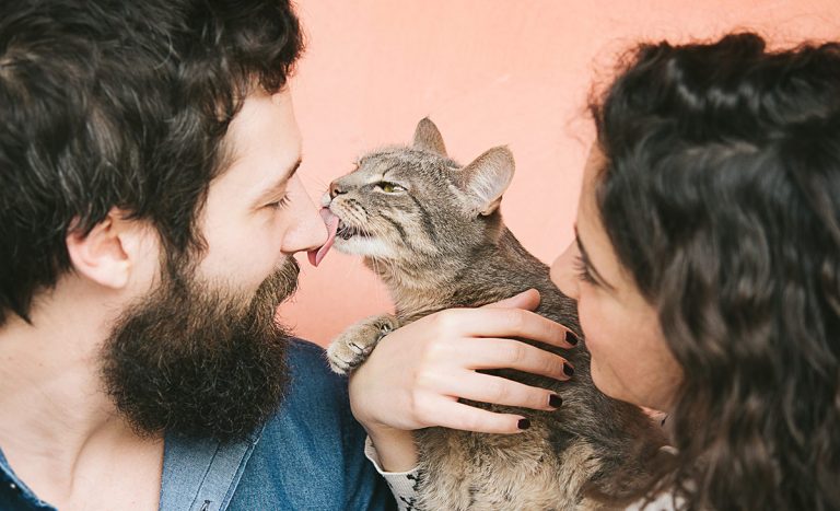100 Reasons Why We Love Cats | Because Cats are the BEST