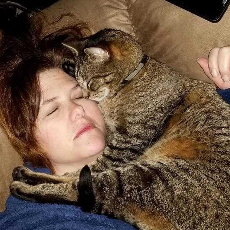 Cat Love | Get Cute Cat Pics, Videos, Playlists & More.