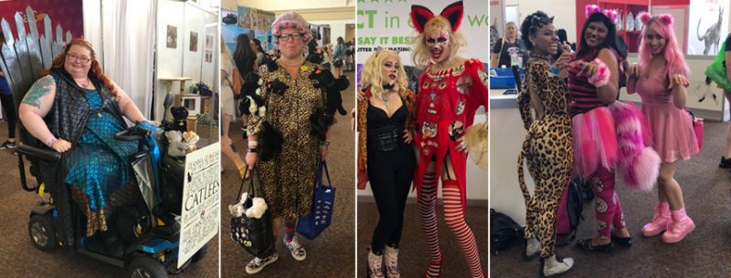 The Top 10 Things We Saw at CatCon 2019