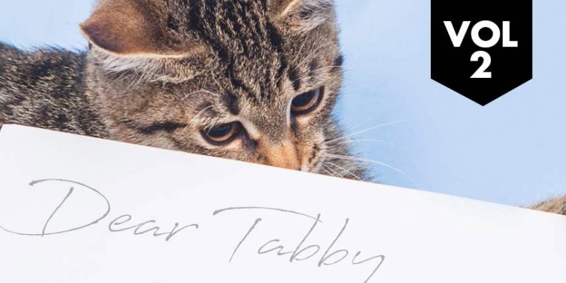 Dear Tabby (Vol II): Lofty Tails, Paper Eating, Clothing Crazy & More
