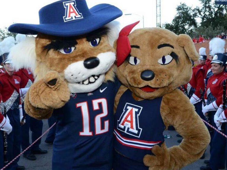 The Best Cat Mascots in Professional and Collegiate Sports