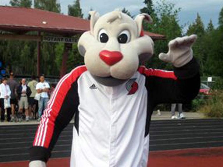 The Best Cat Mascots in Professional and Collegiate Sports