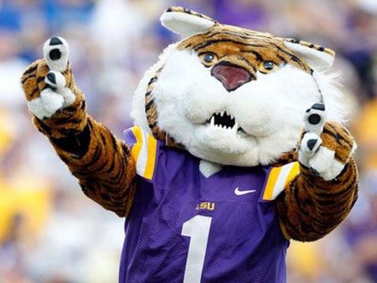The Best Cat Mascots in Professional and Collegiate Sports