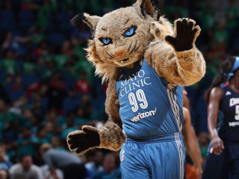 The Best Cat Mascots in Professional and Collegiate Sports
