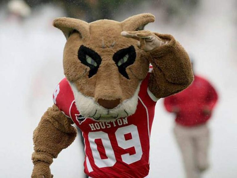 The Best Cat Mascots in Professional and Collegiate Sports