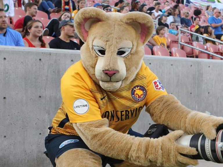 The Best Cat Mascots in Professional and Collegiate Sports