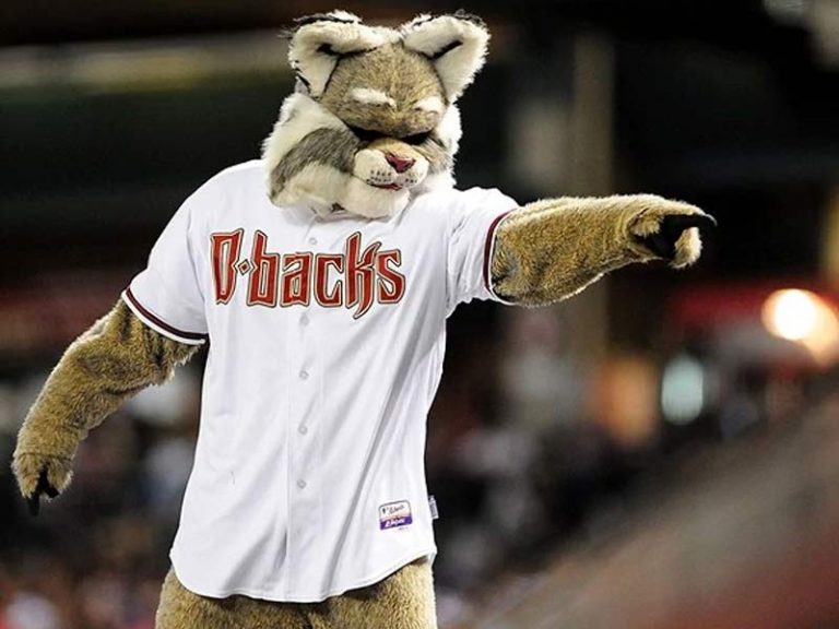 The Best Cat Mascots in Professional and Collegiate Sports