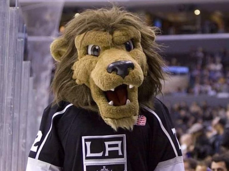 The Best Cat Mascots in Professional and Collegiate Sports