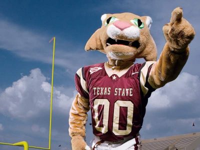 The Best Cat Mascots in Professional and Collegiate Sports