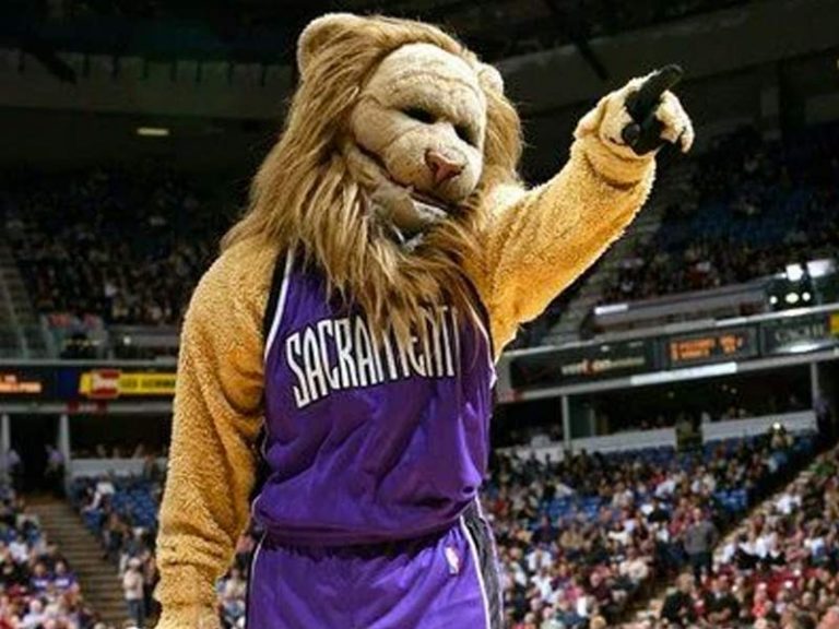 The Best Cat Mascots in Professional and Collegiate Sports