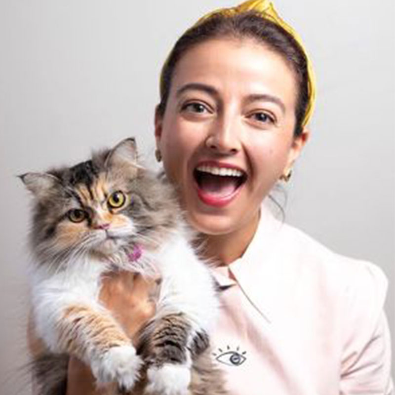 Cat Love | Get Cute Cat Pics, Videos, Playlists & More.