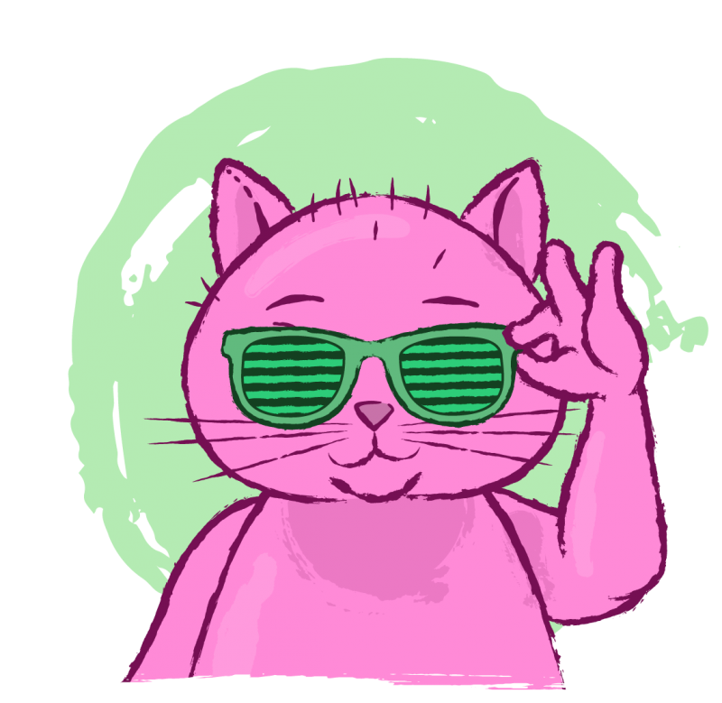 The 7 Best Cat Hairstyles (PLUS: Should You Shave Your Cat?)