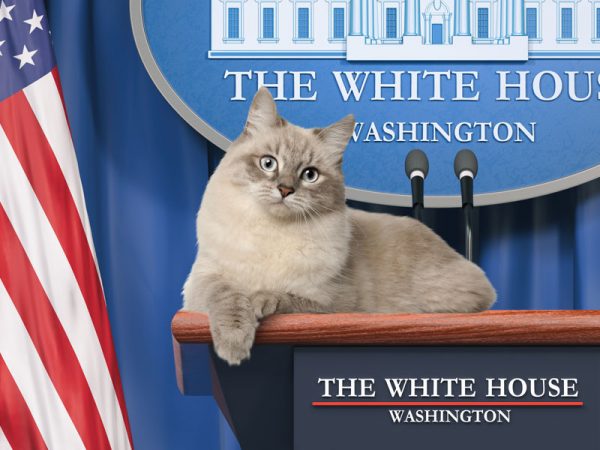 First Felines: A Litter History of Cats in the White House