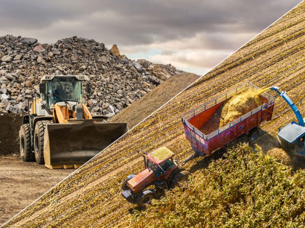 Does Your Cat Litter Pass the Naturally Safe Sniff Test?