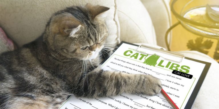 World’s Best Cat Libs | Cat Love Edition?