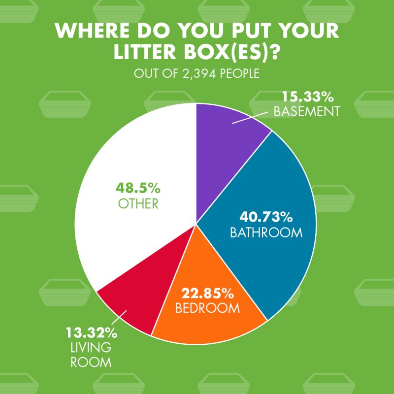 Best Locations to Put Your Cat’s Litter Boxes