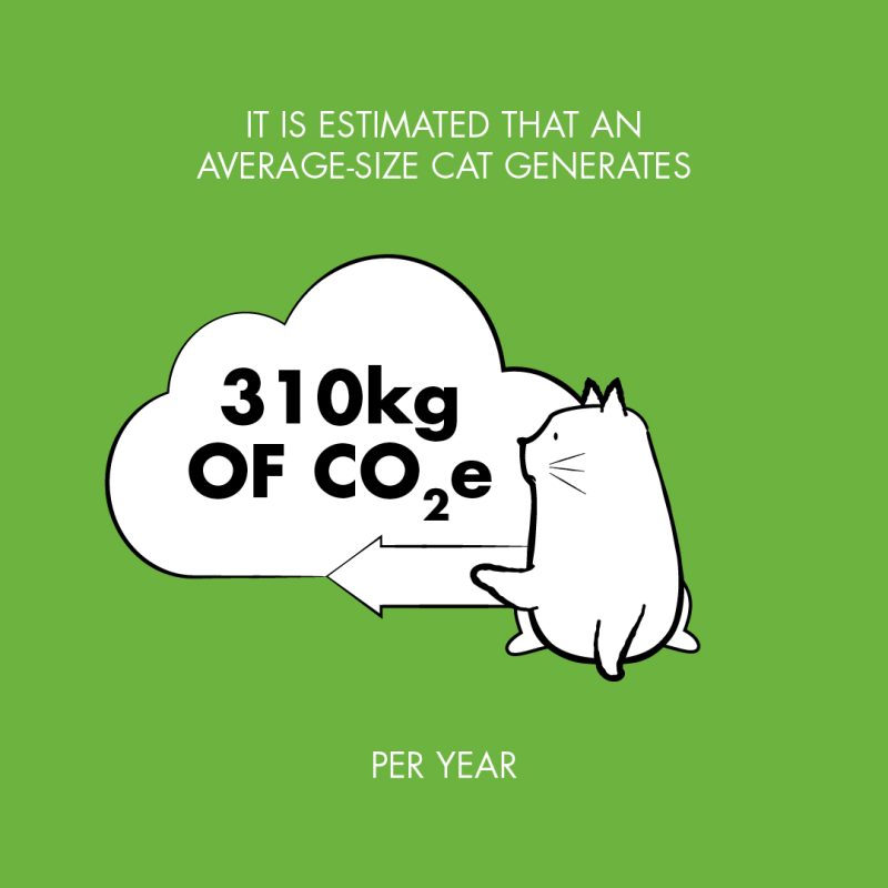 Cats and Climate Change: How to Shrink Your Carbon Pawprint