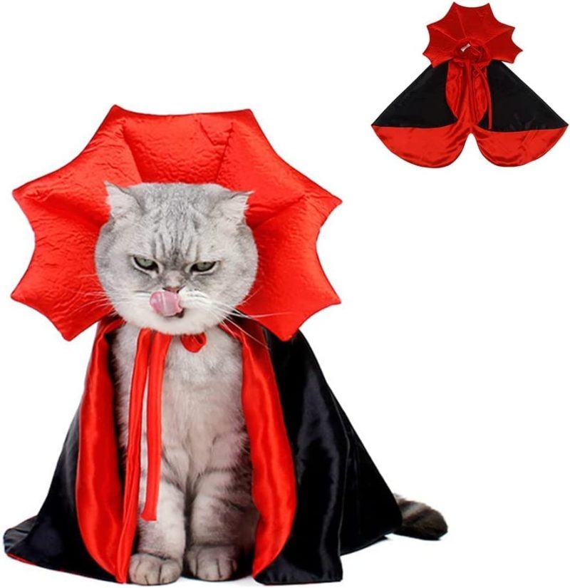23 Best Cat Costume Ideas for Halloween