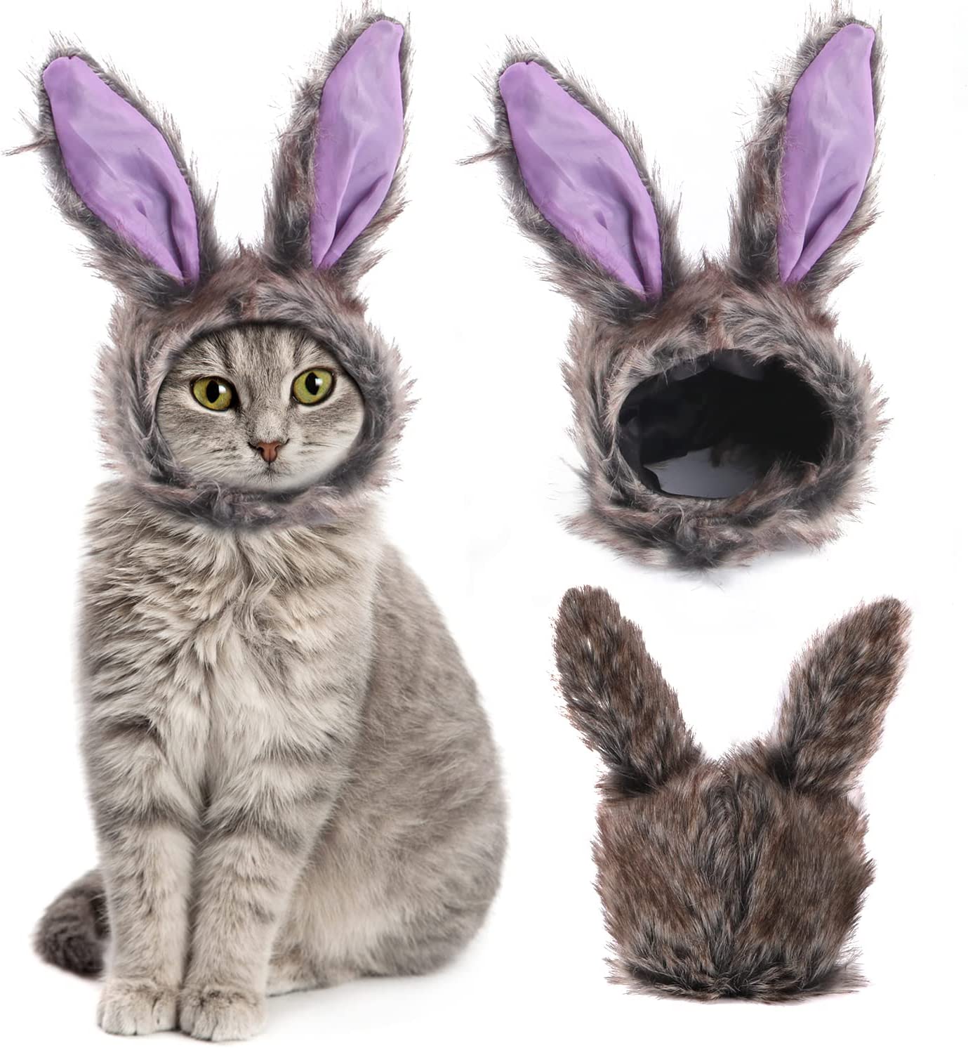 23 Best Cat Costume Ideas for Halloween