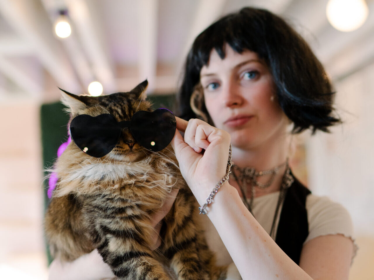 110 Ideas for a Cat Birthday Party | Themes, Supplies, & More!