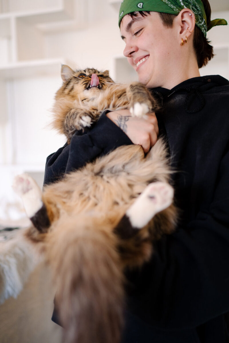 Coffee & Cats: Your Guide to Cat Café Culture
