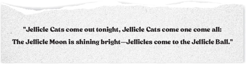 Cat Poetry 101: Exploring the Feline Muse - World's Best Cat Litter®