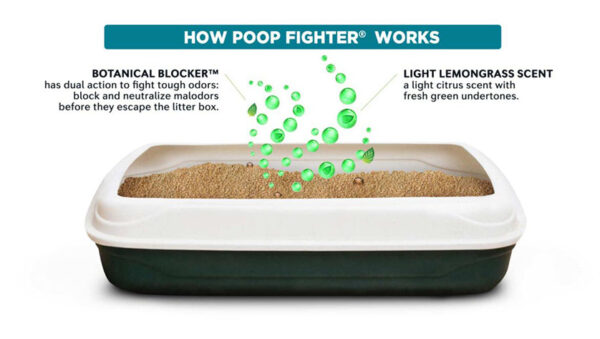 Why Your Cat's Poop Stinks So Bad and What To Do About It