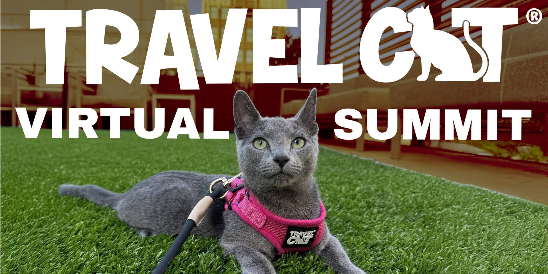 Join the Free Travel Cat Summit | Sunday, Oct. 5th 1-4 pm ET